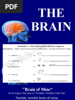 Class 10 Science Diagram Guide | PDF | Human Body | Digestion