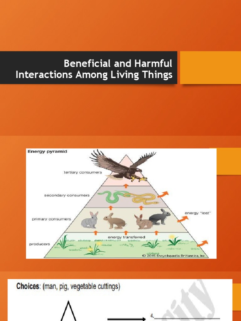 Science 4 Q2 Week 7 | PDF