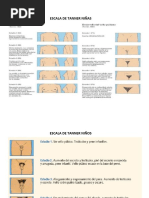 Estadíos Tanner | PDF | Pecho | Testículo