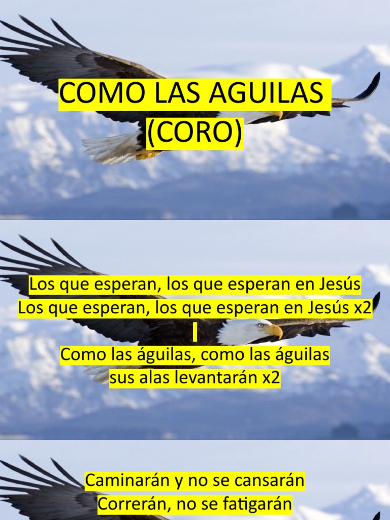 Como Las Aguilas | PDF