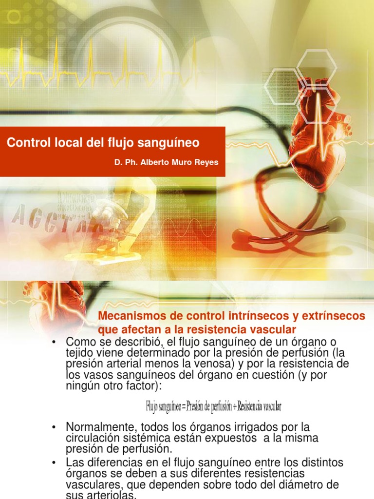 Control del flujo sanguíneo local | PDF | Endotelio | Metabolismo