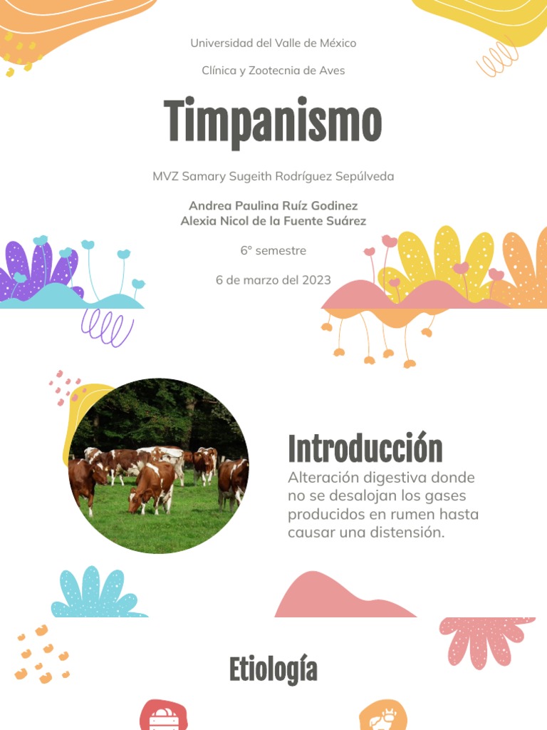 Timpanismo | PDF | Especialidades Medicas | Medicina CLINICA