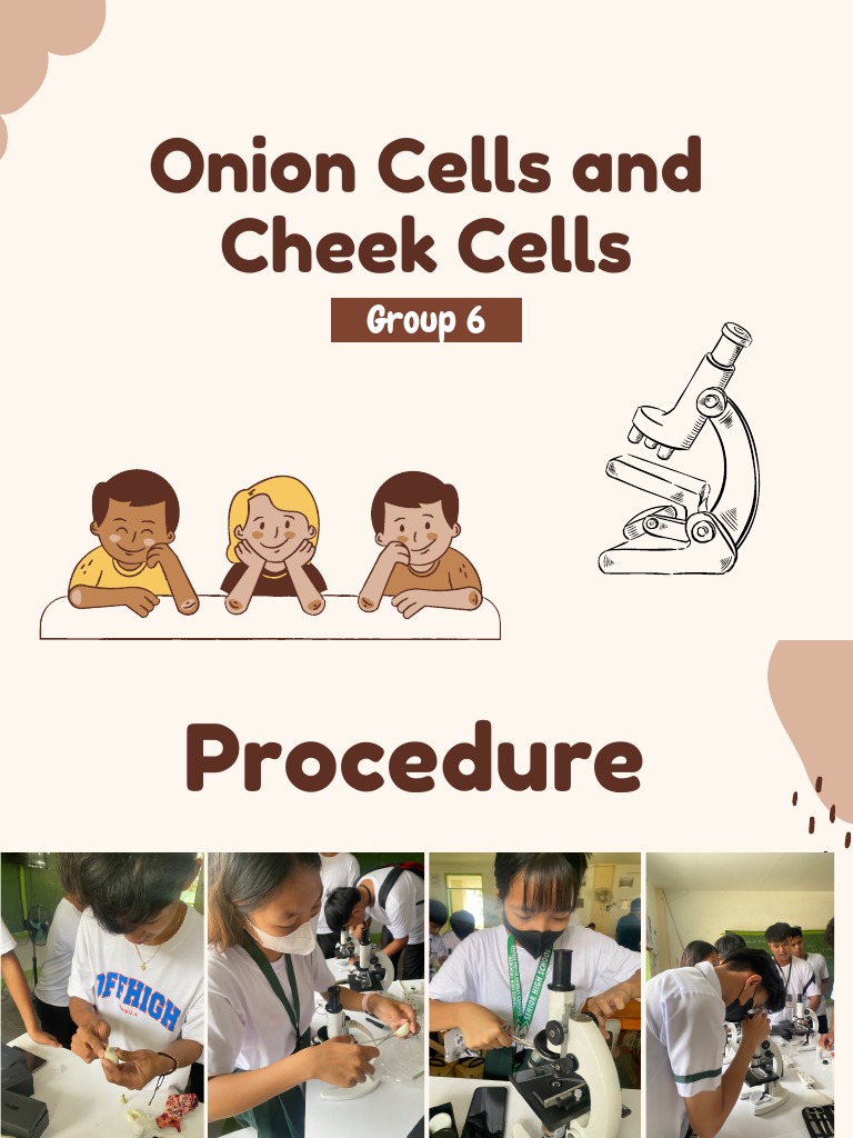 Gen Bio | PDF | Cell (Biology) | Endoplasmic Reticulum