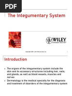 Medical Terminology List 350 Terms | PDF | Anatomy | Human Anatomy