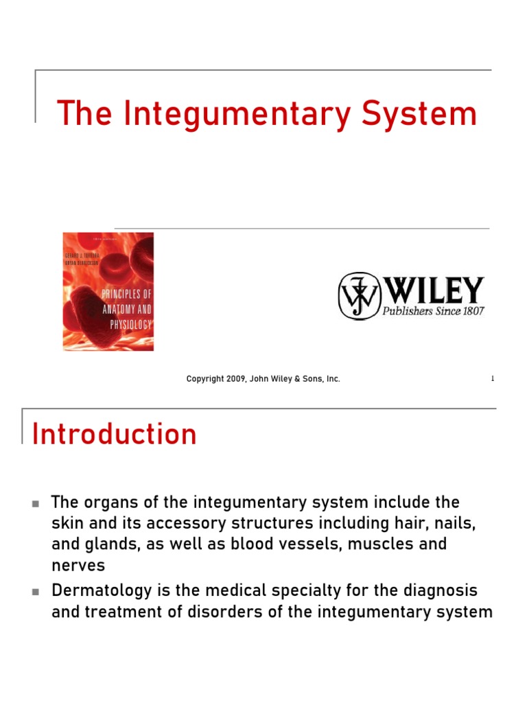 Integumentary System PPT | PDF | Skin | Integumentary System