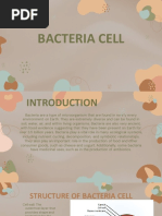 Colilert - 18 E-Coli Detection Manual | PDF | Microbiology | Bacteria
