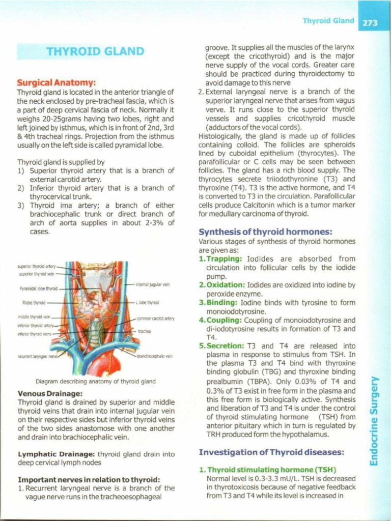 Thyroid | PDF