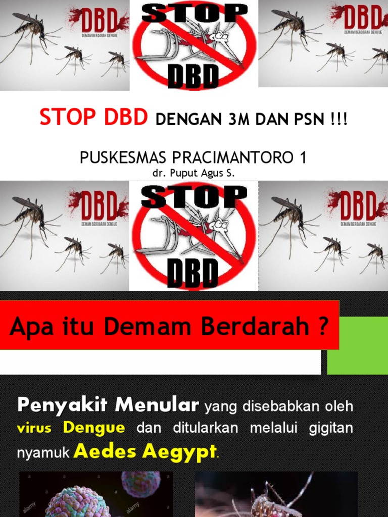 Presentasi DBD Bismillah Semangat | PDF
