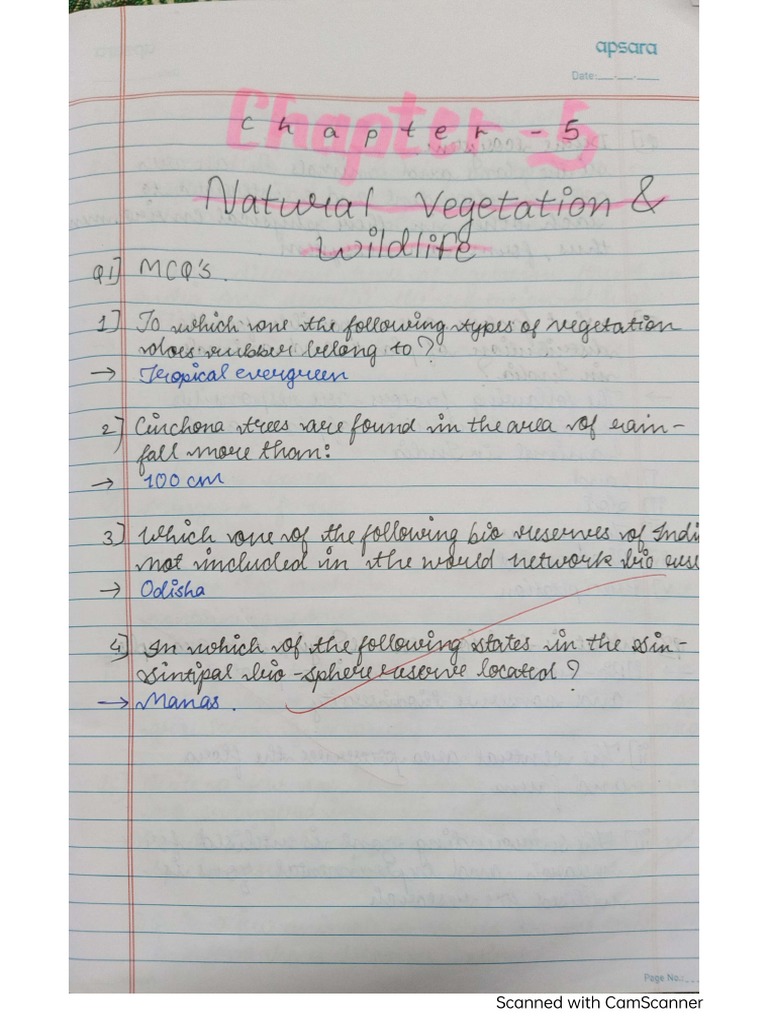 SST Term 2 | PDF