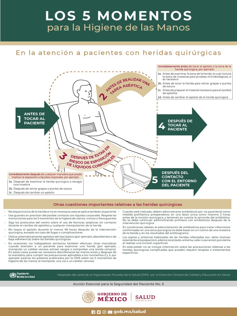 5 Momentos en HX QX | PDF | Herida | Lavado de manos