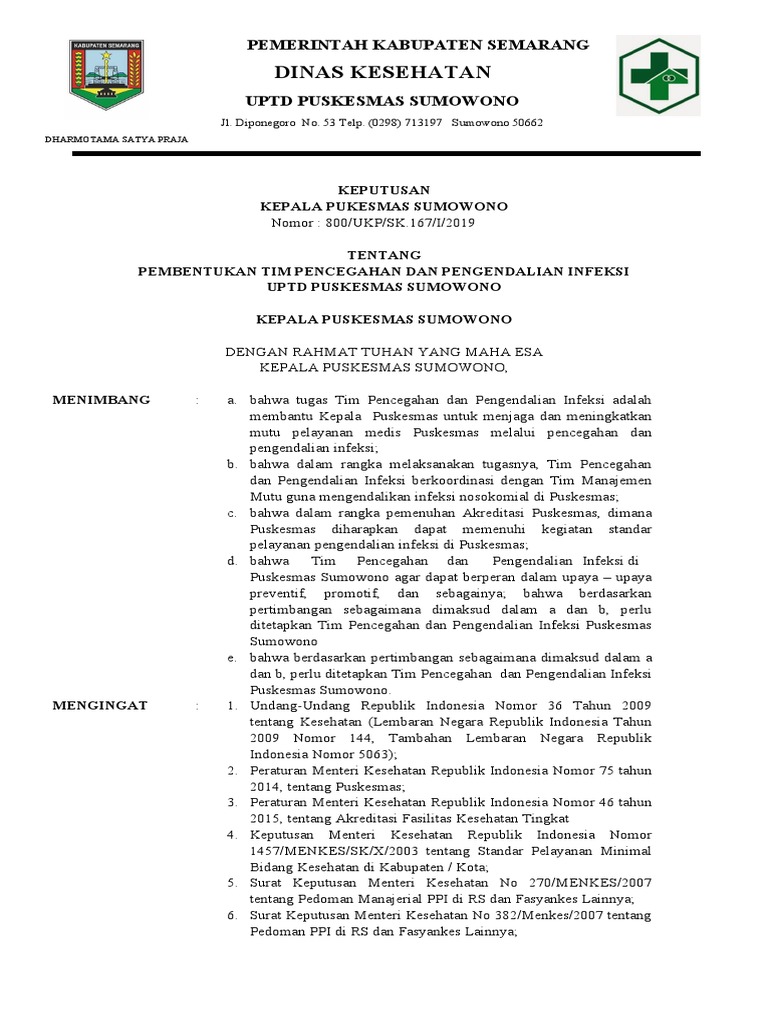 SK Pembentukan Tim PPI Fix | PDF