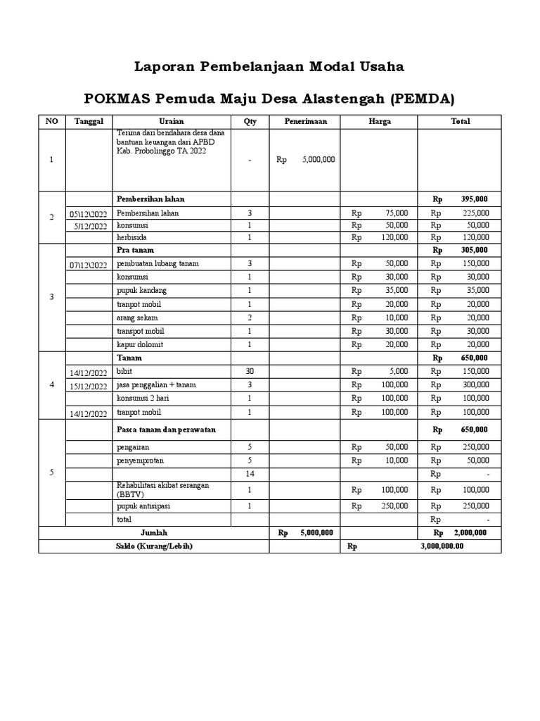 Laporan Pembelanjaan Modal Usaha pisang | PDF