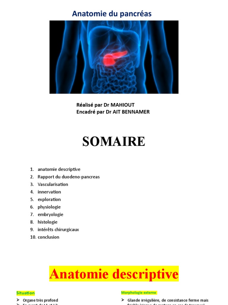 Presentation Pancreas | PDF | Pancréas | Cancer du pancréas