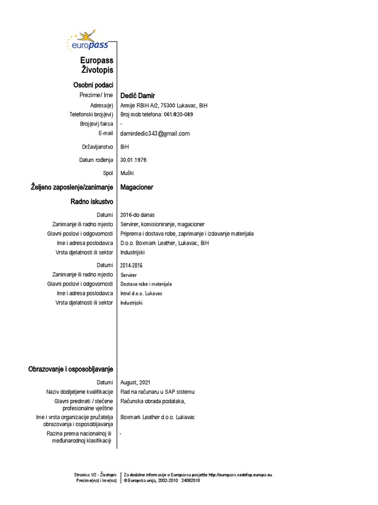 Damir Dedic CV | PDF