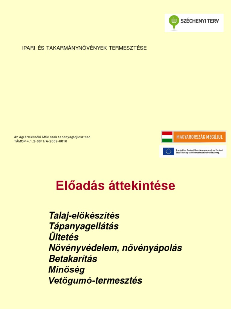 04-Burg Integr Term 2 | PDF