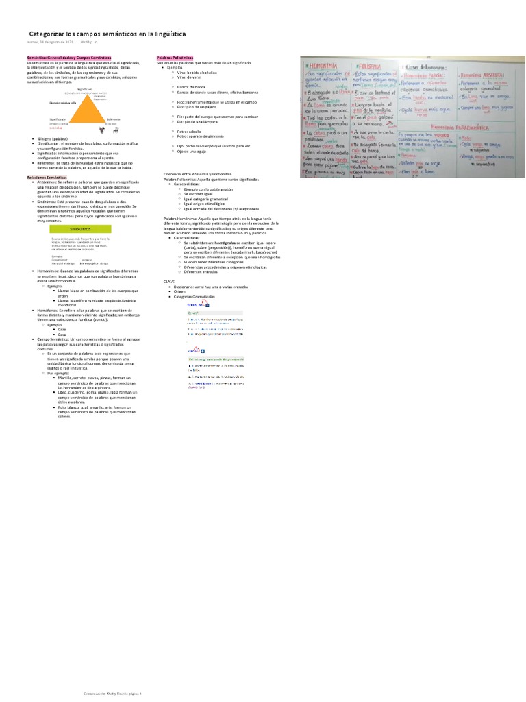 Categorizar Los Campos Semánticos en La Lingüística | PDF | Palabra ...