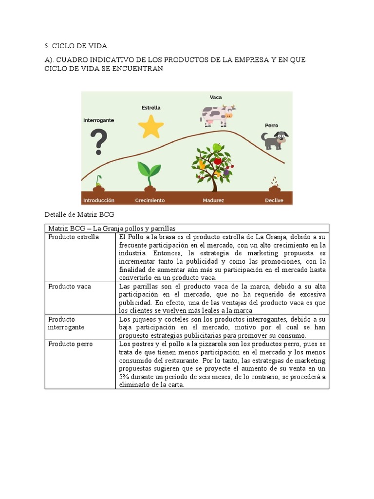 5 CICLO DE VIDA Branding | PDF | Producto (Negocio) | Marketing