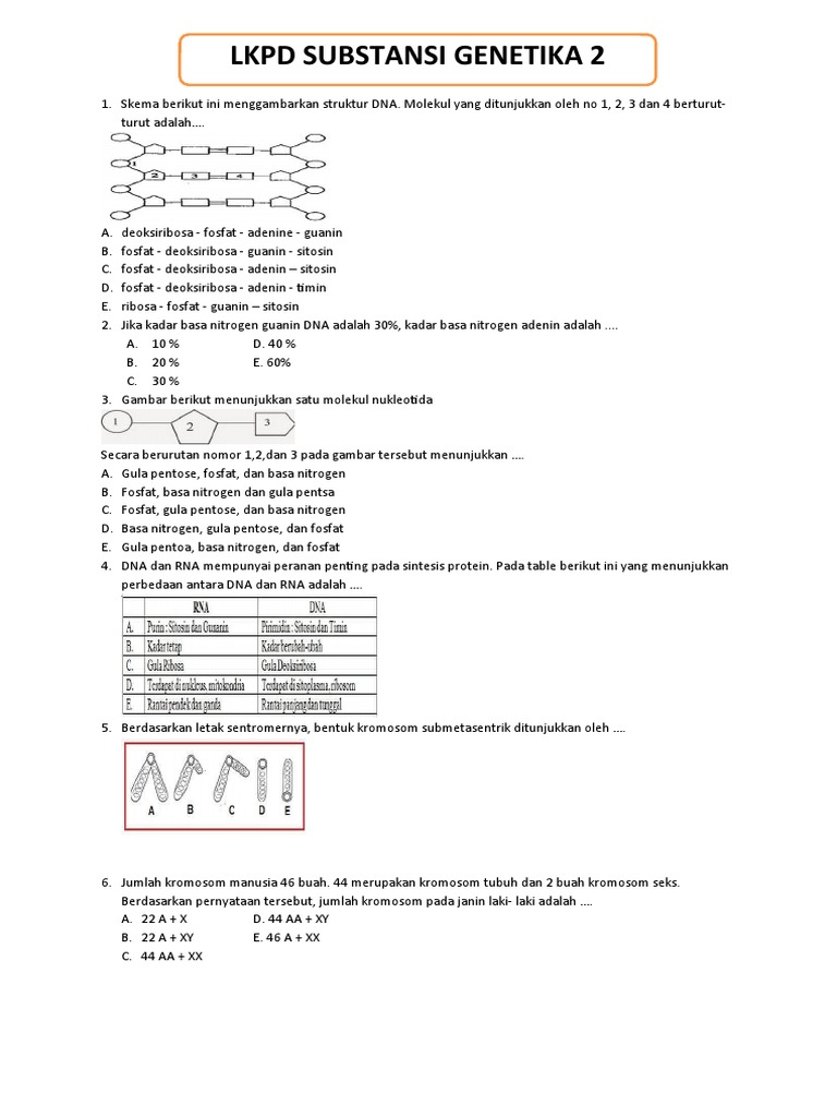 LKPD 2 Substansi Genetika | PDF