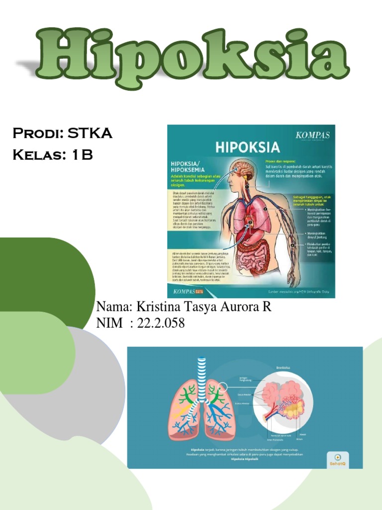 Hipoksia dan Autofagi: Mekanisme Kerusakan dan Pemulihan Sel | PDF