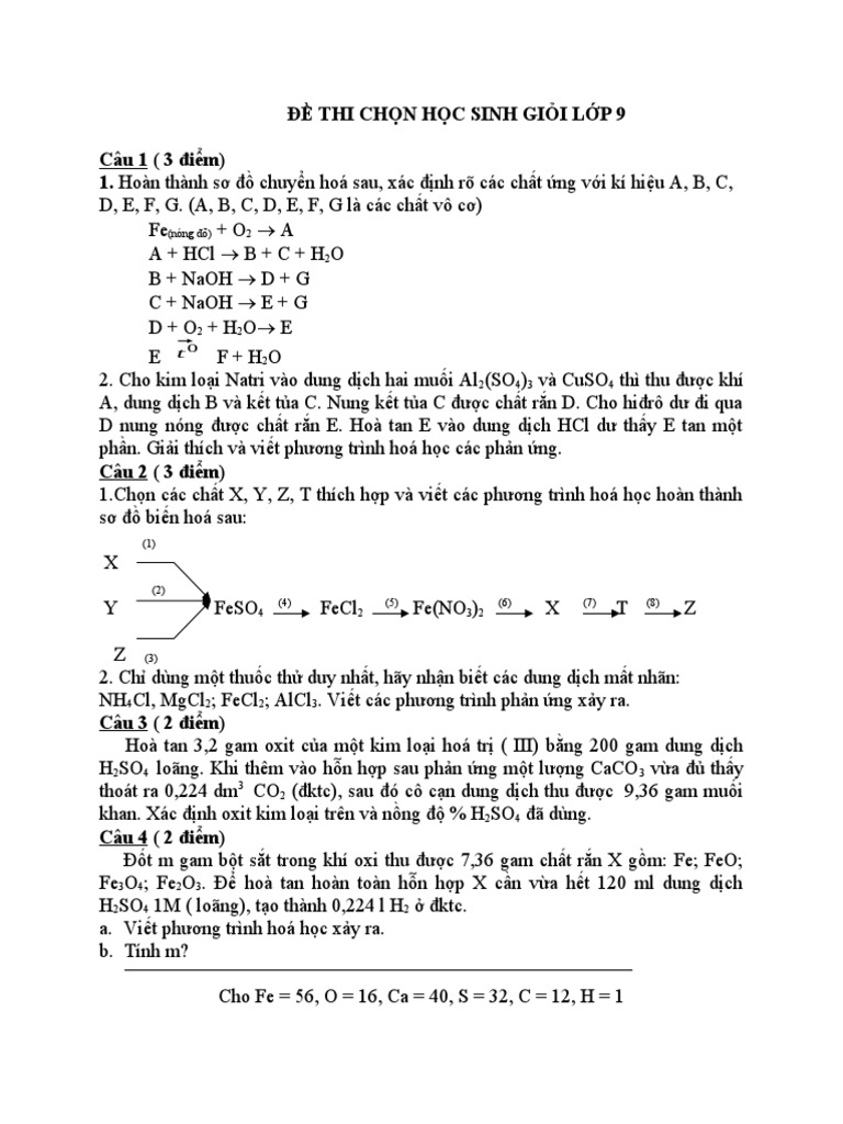 đề HSG 1 đáp án | PDF