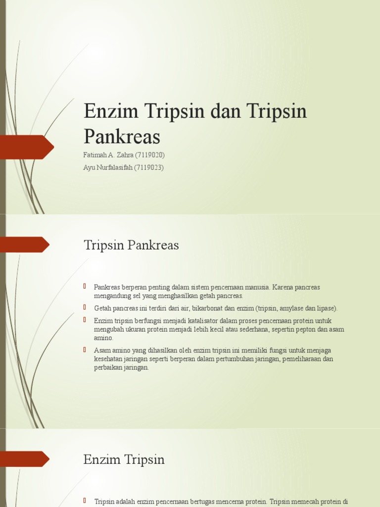 Enzim Tripsin Dan Tripsin Pankreas | PDF