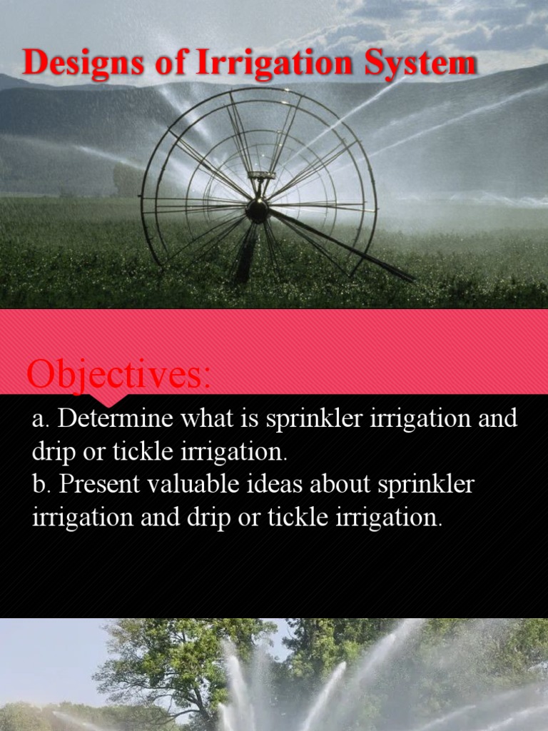 Designs of Irrigation System TLE8 | PDF | Irrigation | Water Management