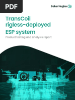 Quantum Packer | PDF | Manufactured Goods | Mechanical Engineering