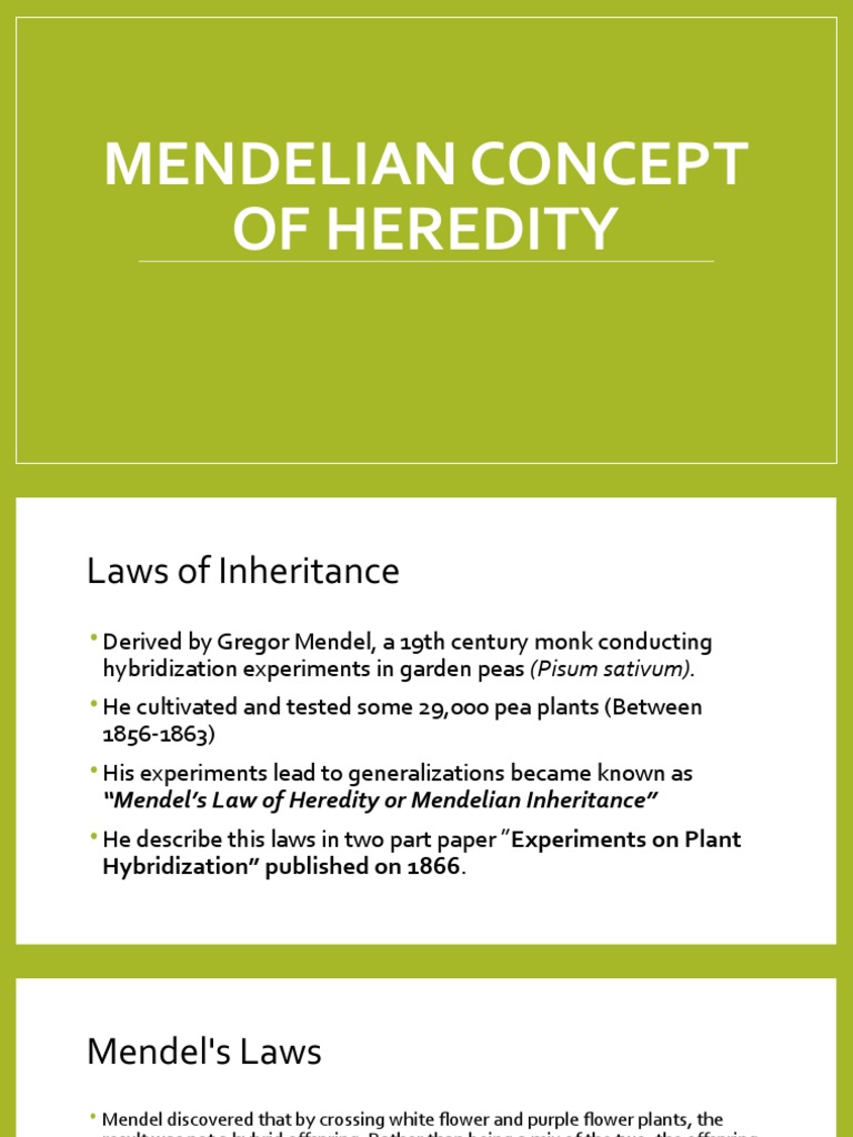 Mendelian Concept of Heredity | PDF | Dominance (Genetics) | Biological ...