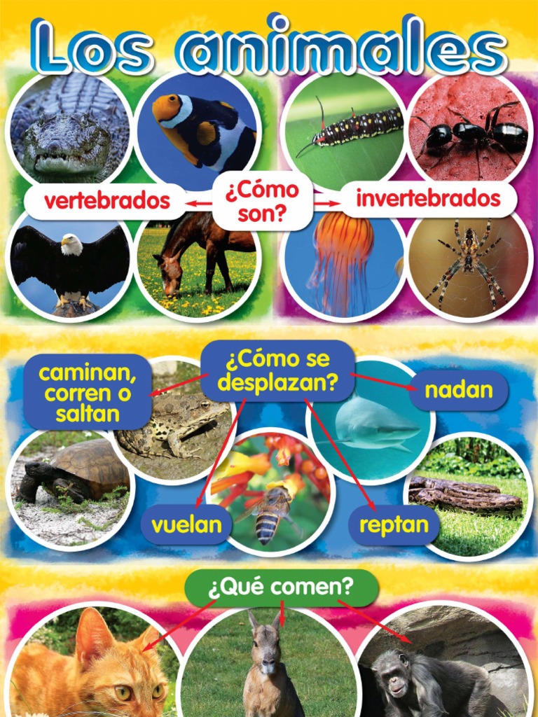 animales lámina | PDF