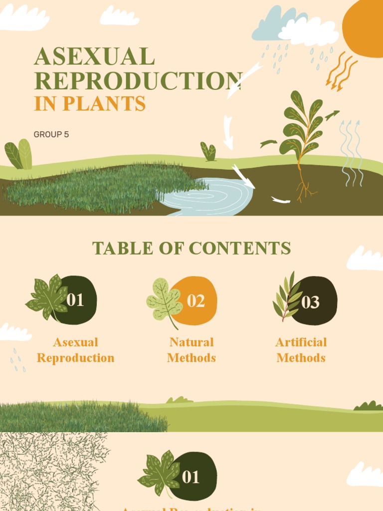 Gen Bio 2 Pdf Plant Reproduction Reproduction