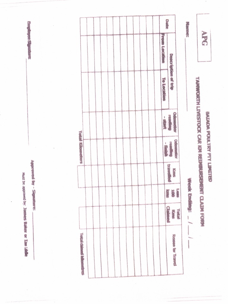 APG Travel Form - 06022023162413 | PDF