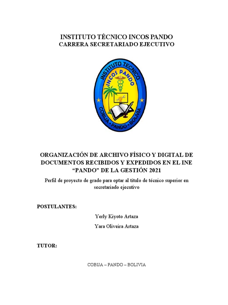 PERFIL DE PROYECTO INE Segundo BORRADOR | PDF | Estadísticas