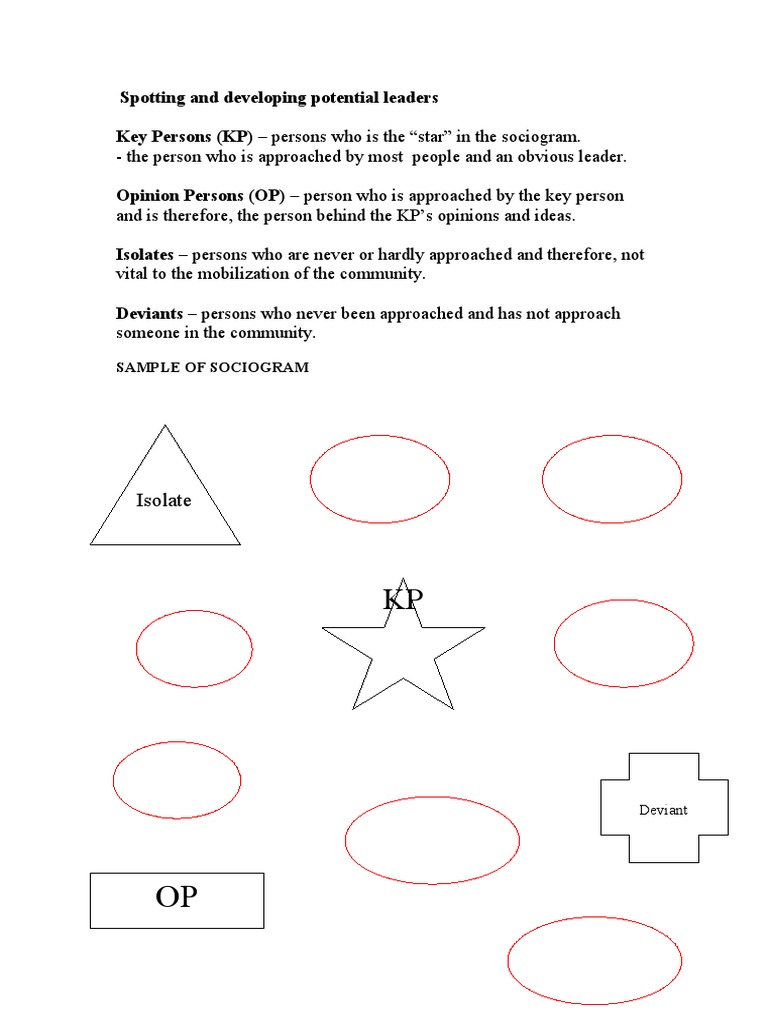Example of Sociogram | PDF