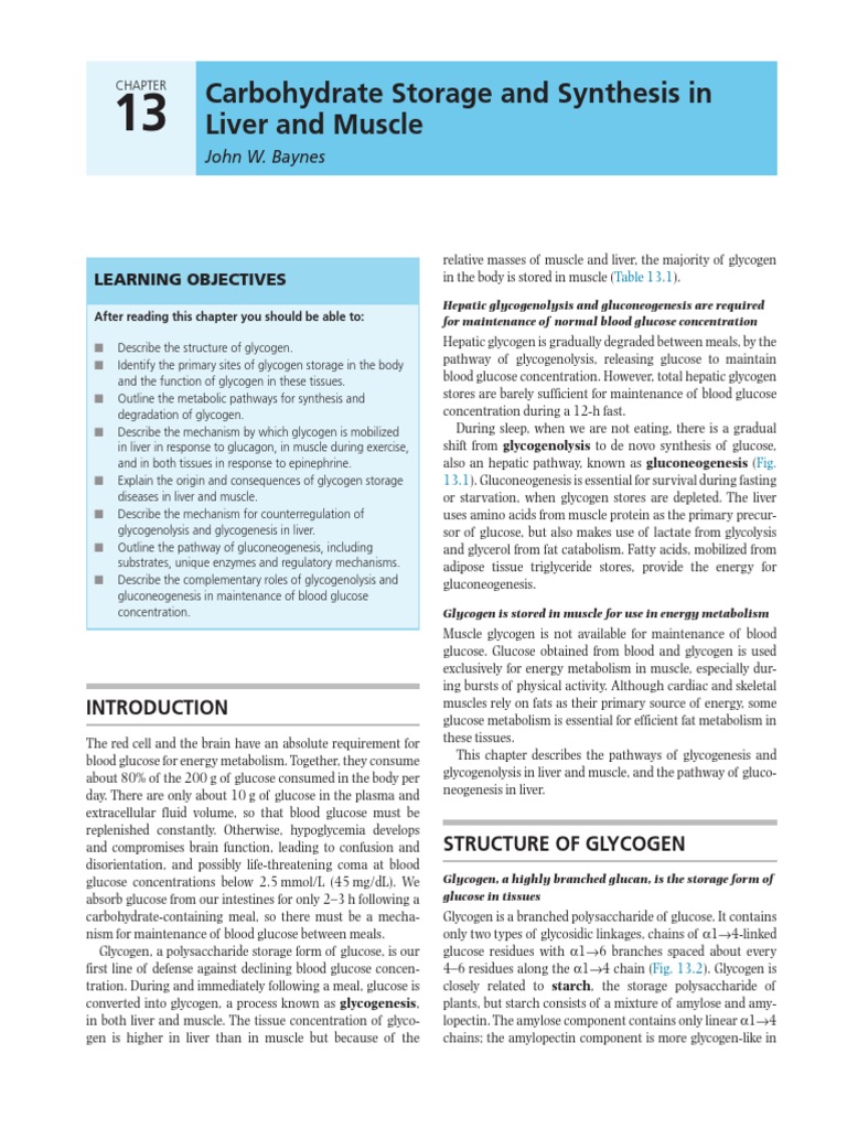 Book Chapter Carbohydrate Storage and Metabolism | PDF | Glycogen | Glucose