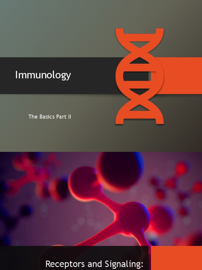 09 - Immune System Basics Part 2 | PDF | T Cell | B Cell 09 - Immune System Basics Part 2 | PDF | T Cell | B Cell