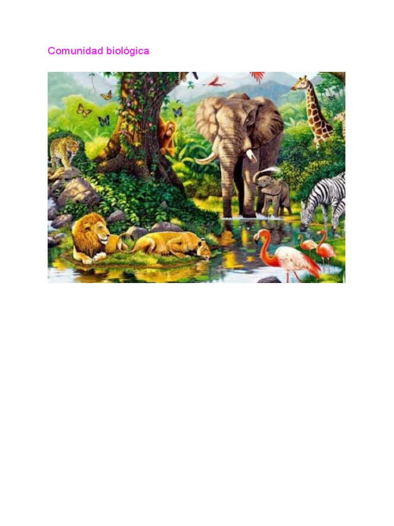 Comunidad Biologica DIBUJO | PDF