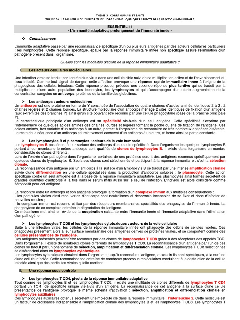 Réaction Immunitaire Adaptative expliquée | PDF | Système immunitaire ...