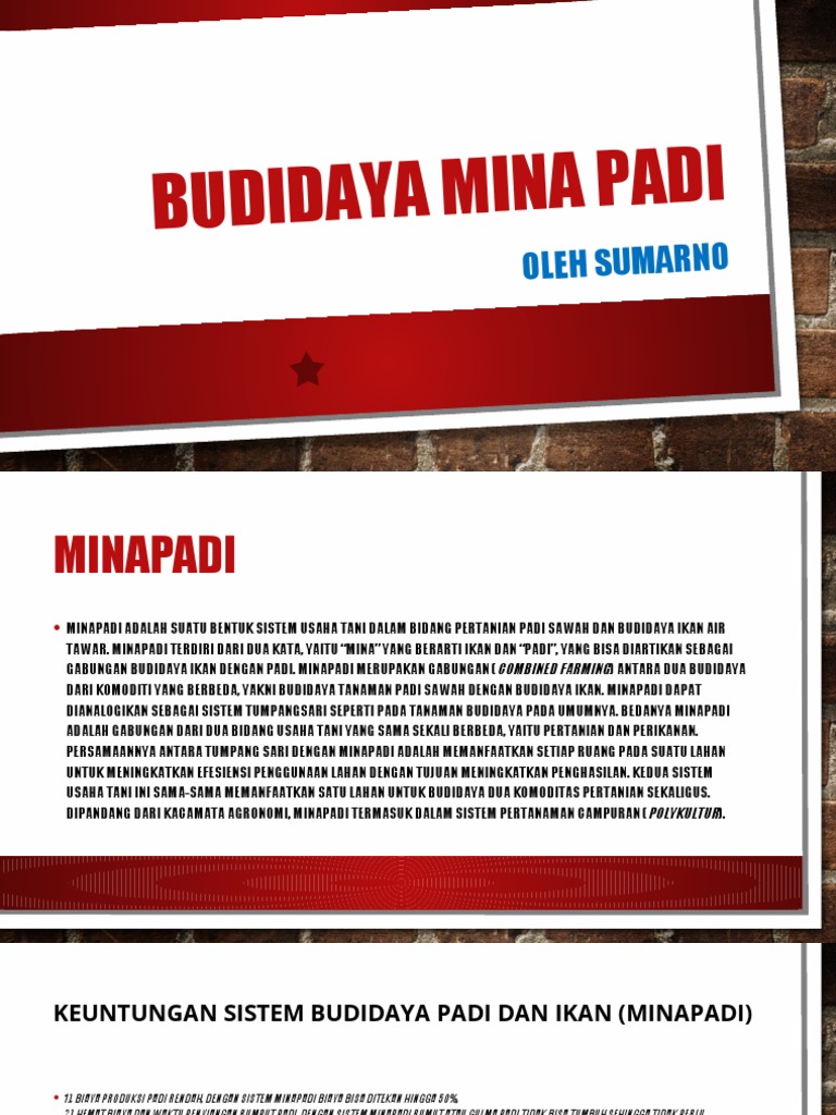 Budidaya Mina Padi | PDF