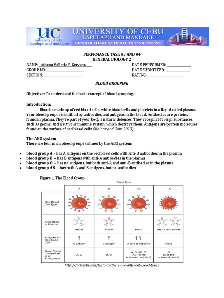 Biology Blood Grouping Guide | PDF | Antibody | Blood Type