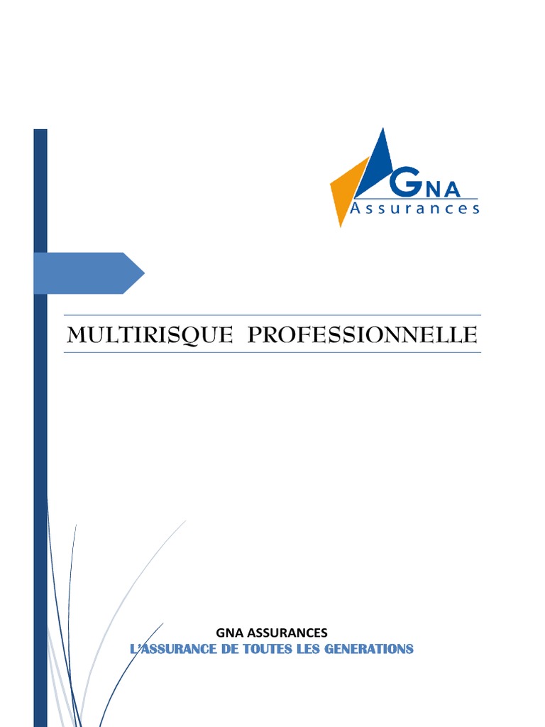 Assurance Multirisque Pro pour Pros | PDF