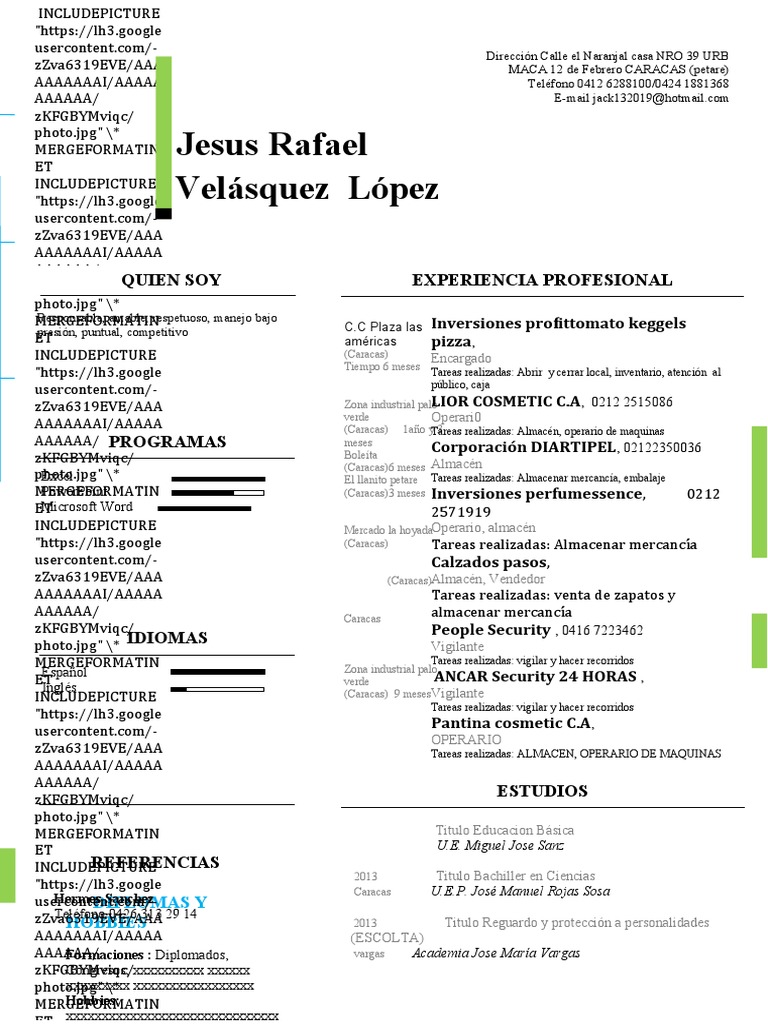 Currículum de Jesús Rafael Velásquez | PDF