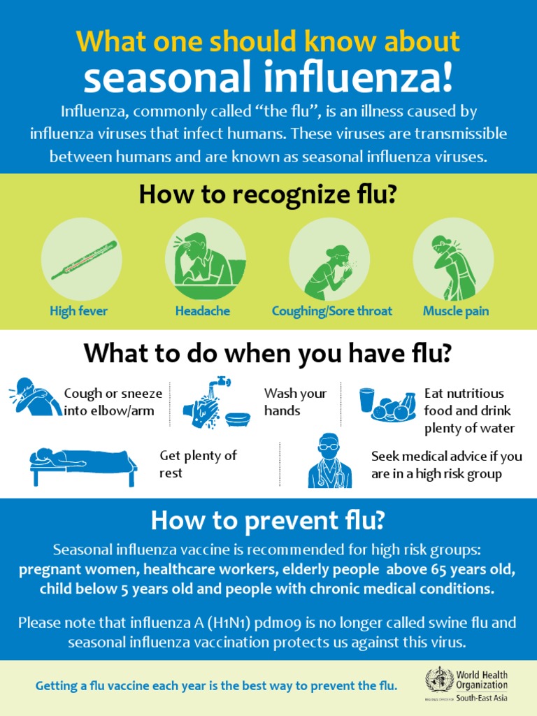 Who Seasonal Influenza Poster | PDF