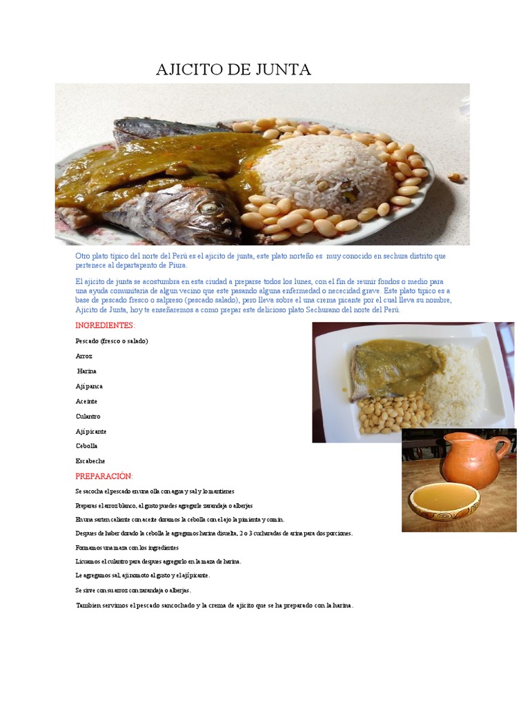 AJICITO DE JUNTA | PDF