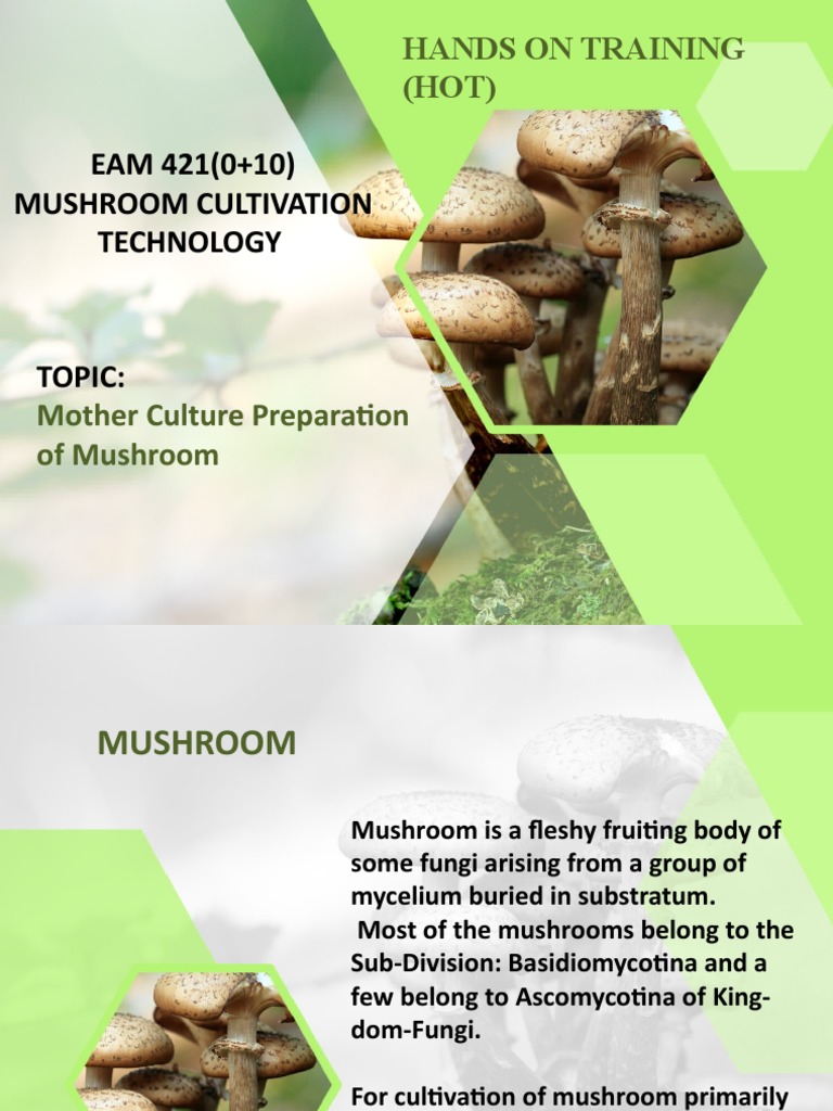 Preparing Pure Cultures and Mother Cultures: A Step-by-Step Guide to Cultivating Mushrooms | PDF ...