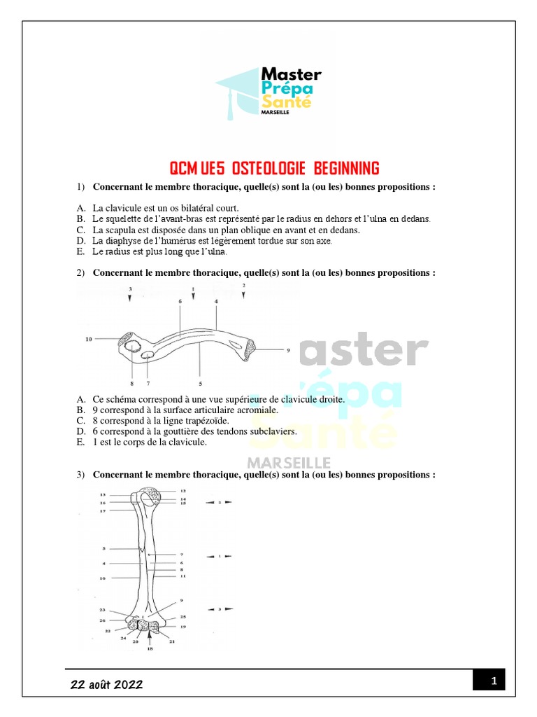 QCM Ue5 Osteologie | PDF | Anatomie humaine | Membres (anatomie)