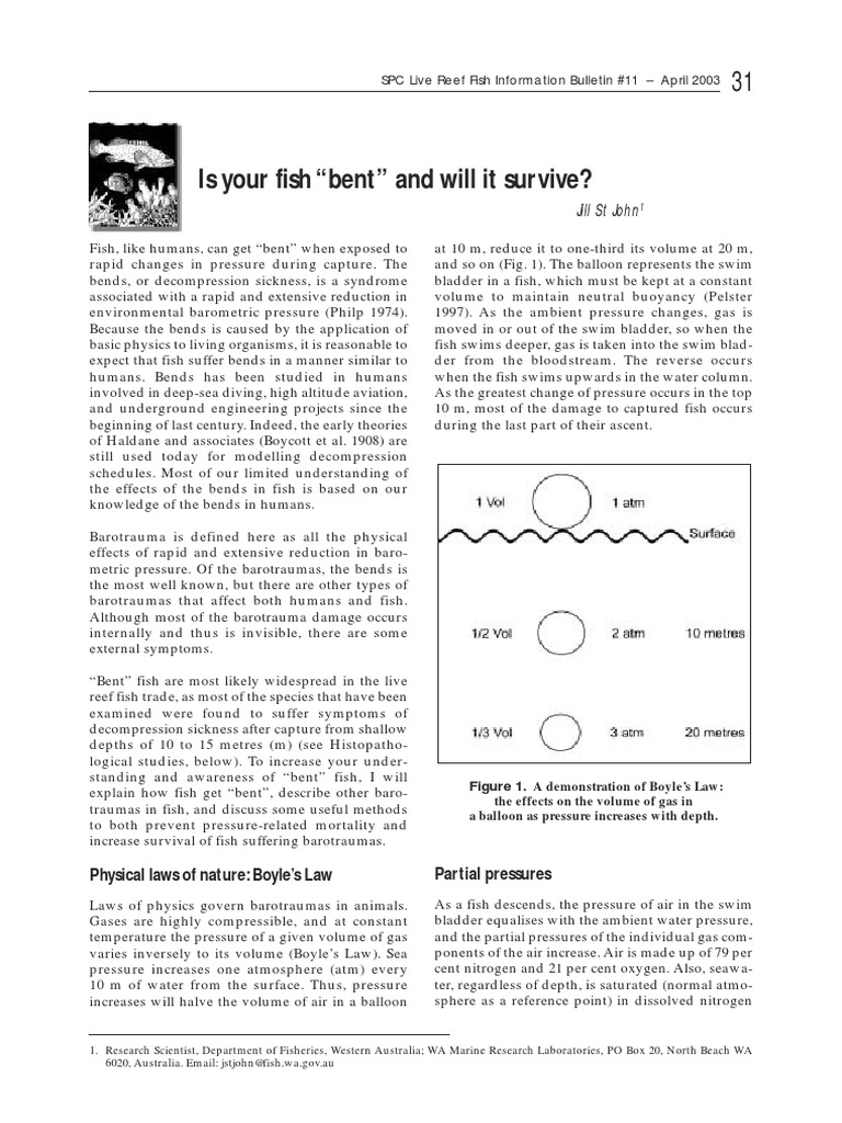 Is Your Fish Bent | PDF | Pressure | Atmosphere Of Earth