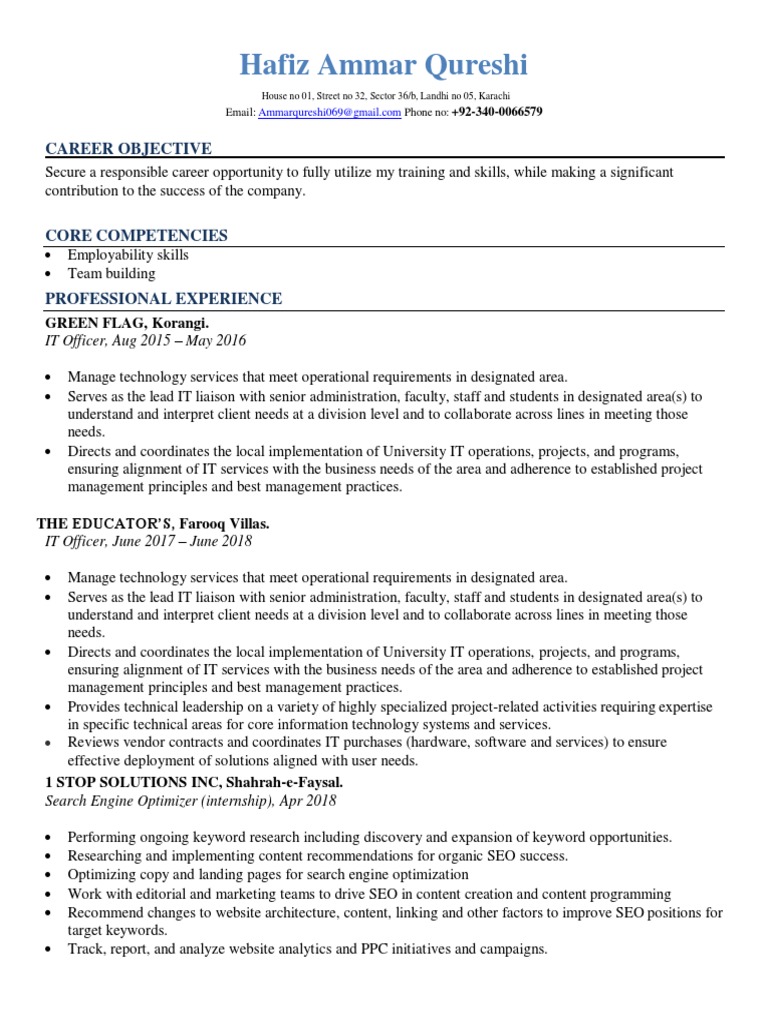 Resume Ammar Qureshi | PDF | Search Engine Optimization | Computing