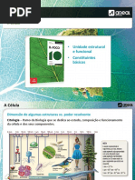 Ficha de Exercícios A Célula (VERSÃO CORRIGIDA) Ano Lectivo - 10º Ano ...