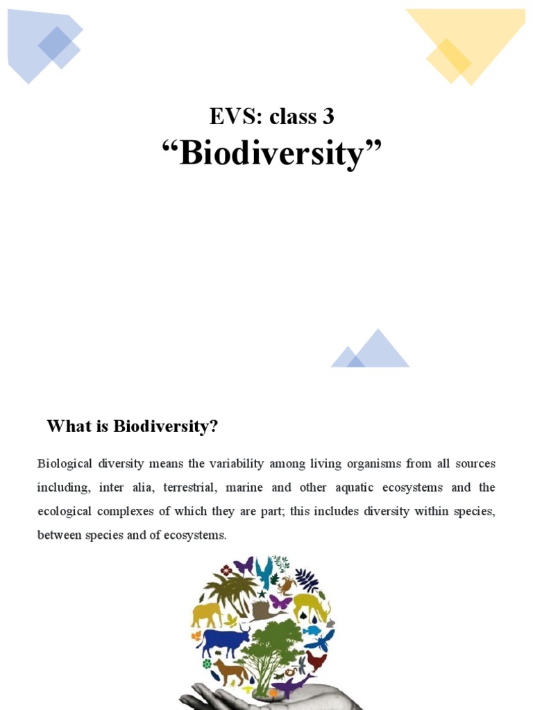 Class3 EVS Bio | PDF | Biodiversity | Ecosystem