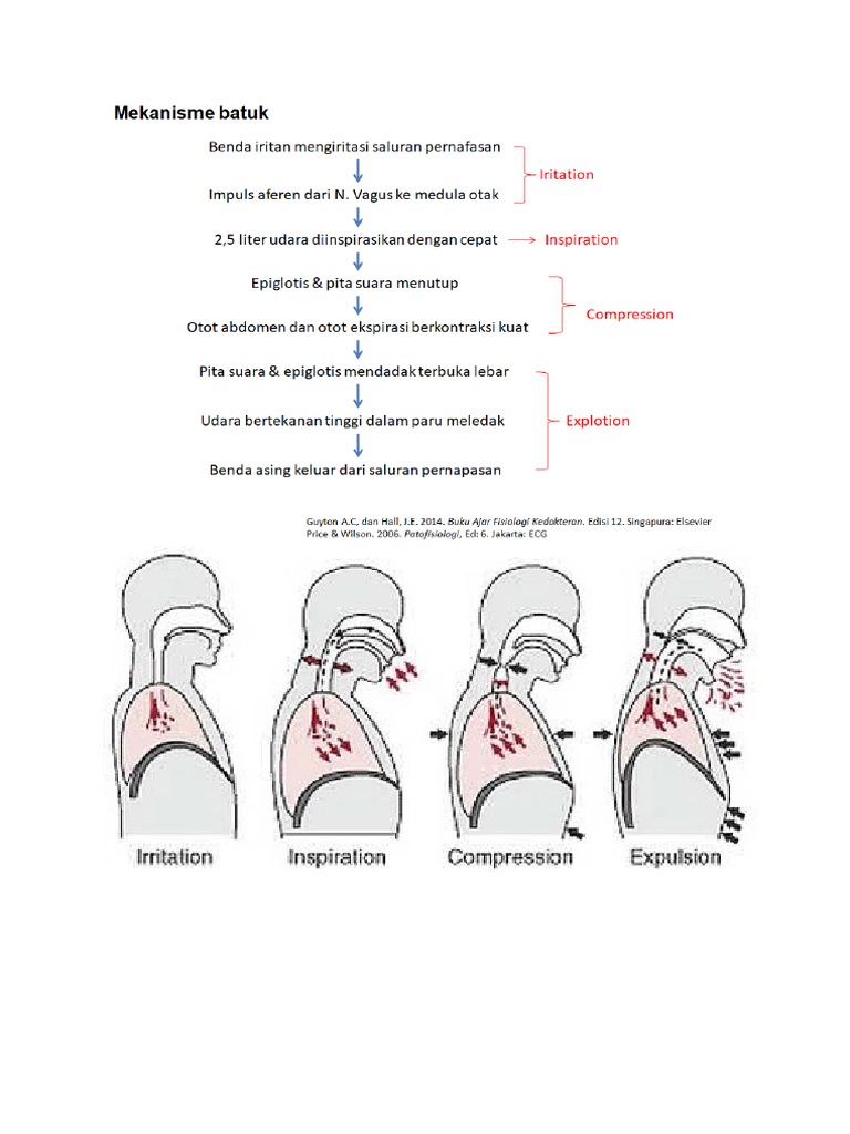 Patomekanisme BATUK | PDF